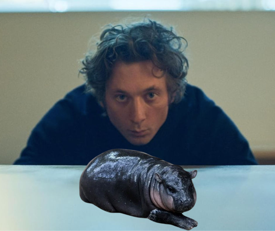 After SNL, Moo Deng should star in these other shows