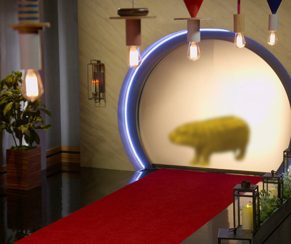 After SNL, Moo Deng should star in these other shows