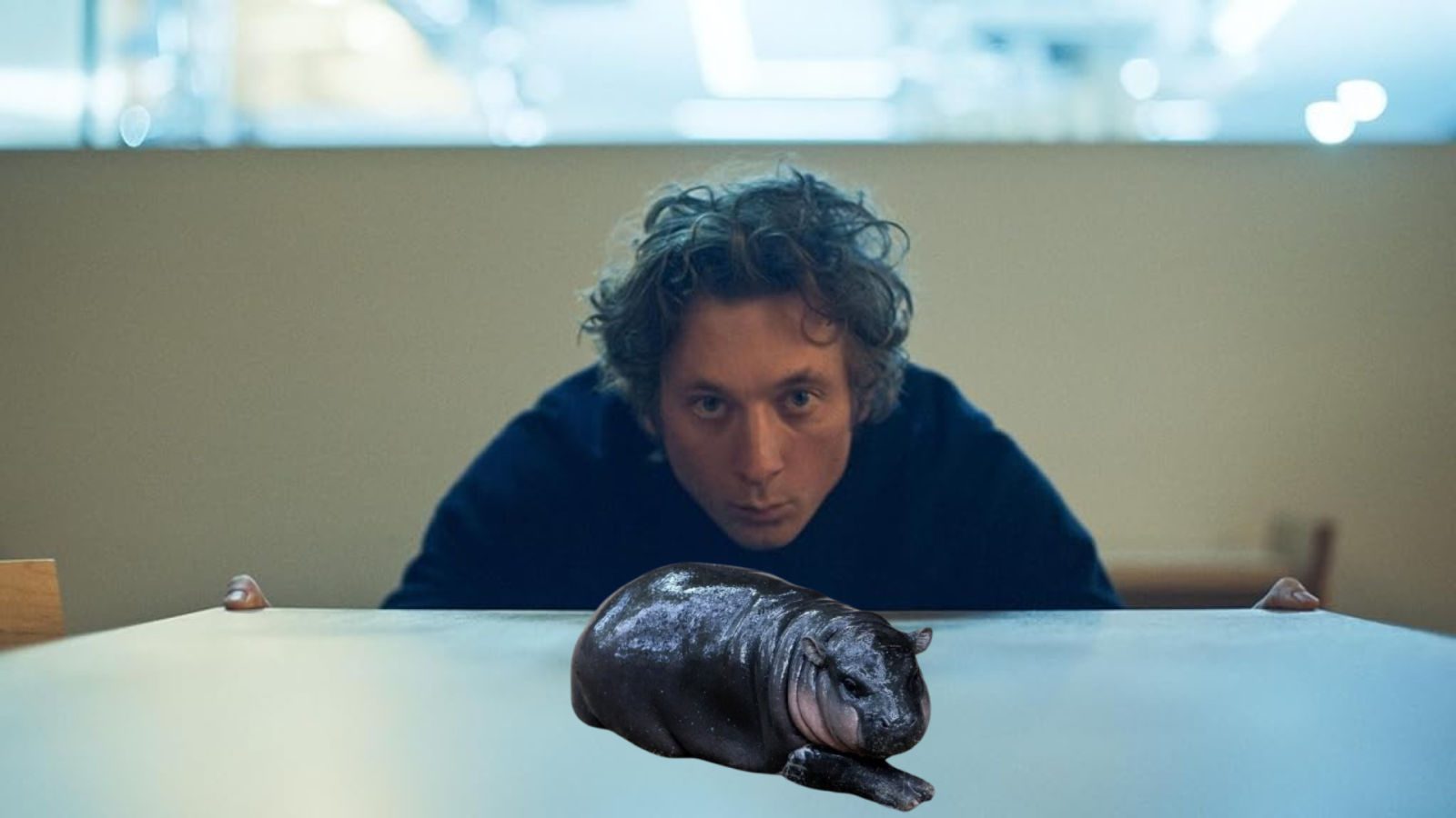 After SNL, Moo Deng should star in these other shows