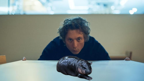 Where to buy Moo Deng Cake in Bangkok | Lifestyle Asia Thailand