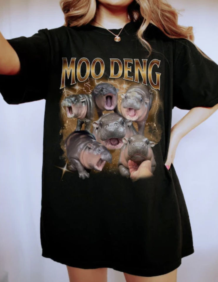 Moo Deng merch you need to buy for Moo Deng Core