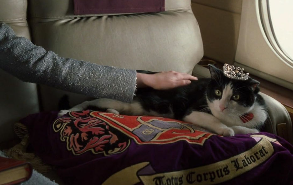 Shut up: These are the plotlines we’d love to see in Princess Diaries 3