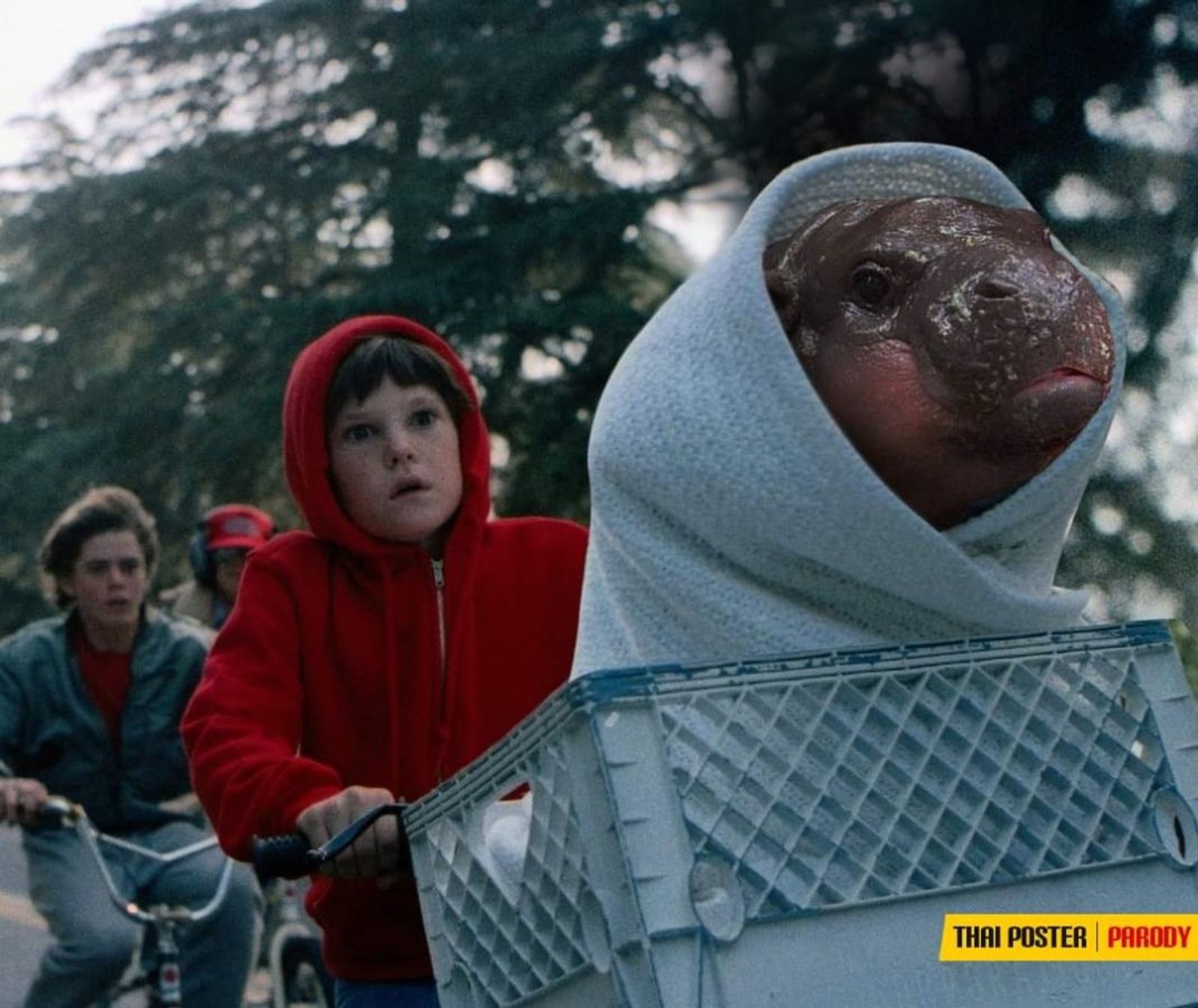 The best Moo Deng memes and reactions about Thai hippo Moo Deng