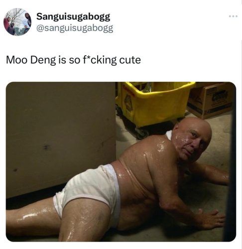 Moo Deng Vs Pesto Who Would Win In A Fight Lifestyle Asia Thailand