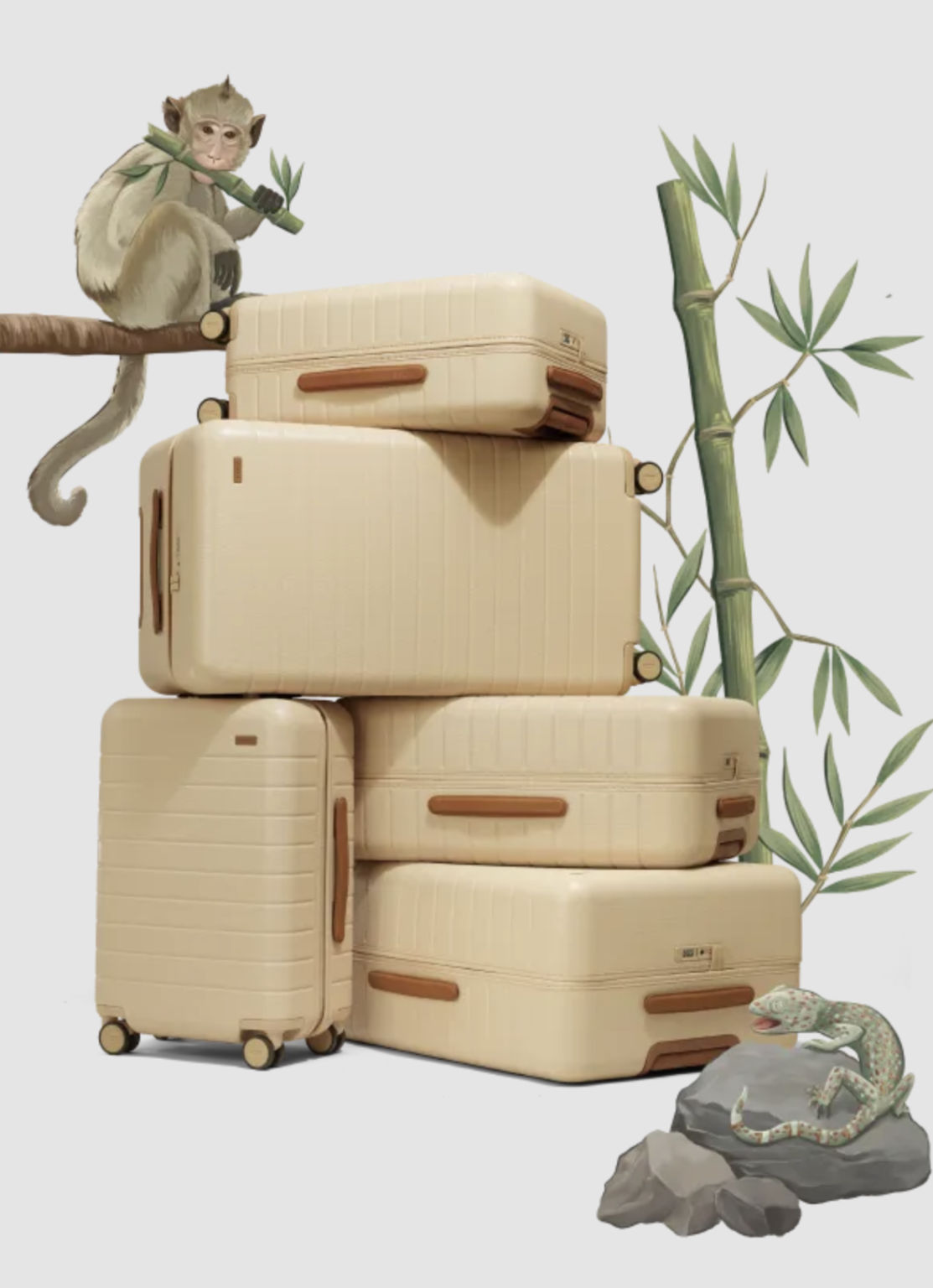 The White Lotus collabs you need to check out