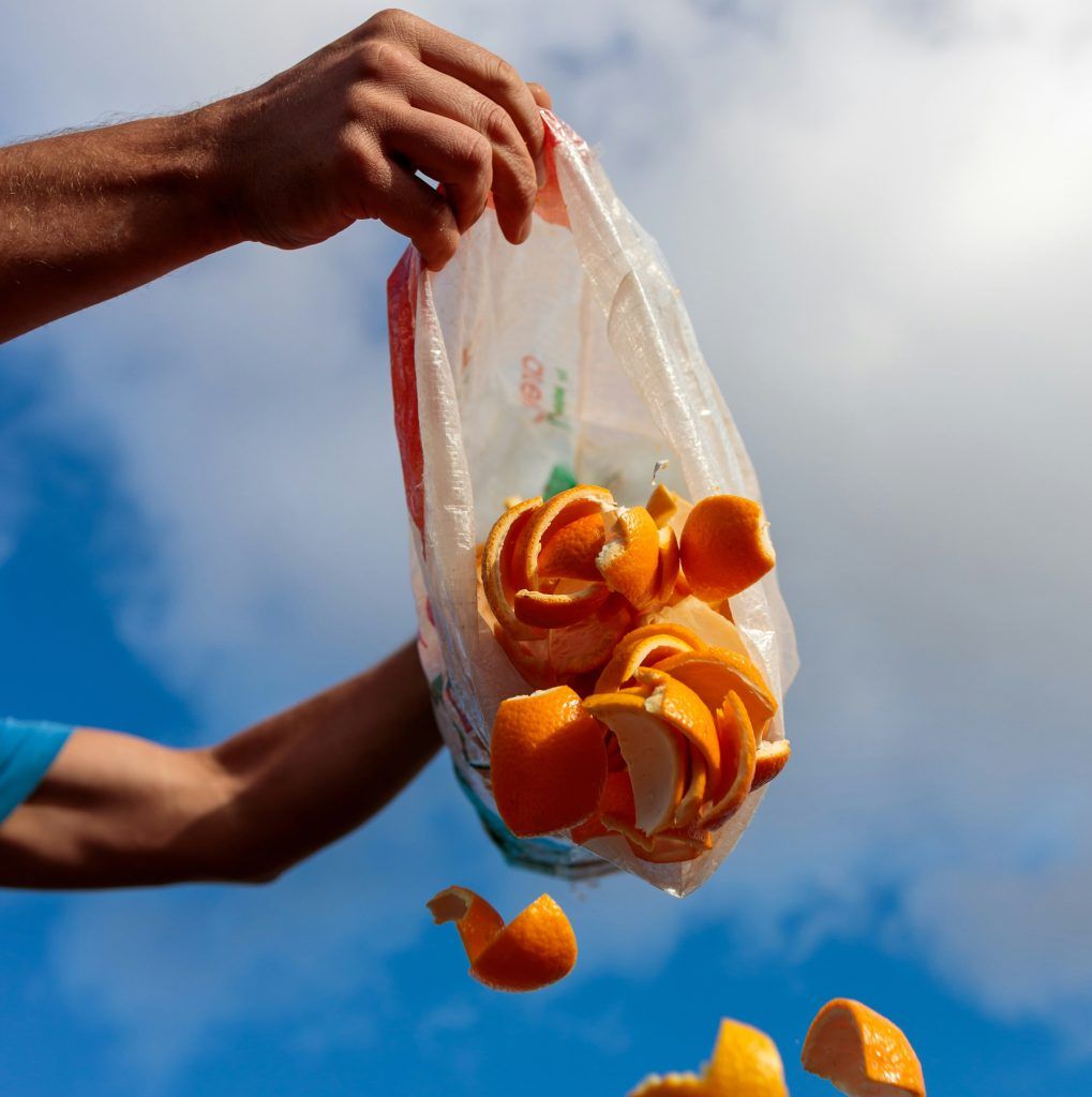 Cats & Soup game: What is it, how to play, and where to download