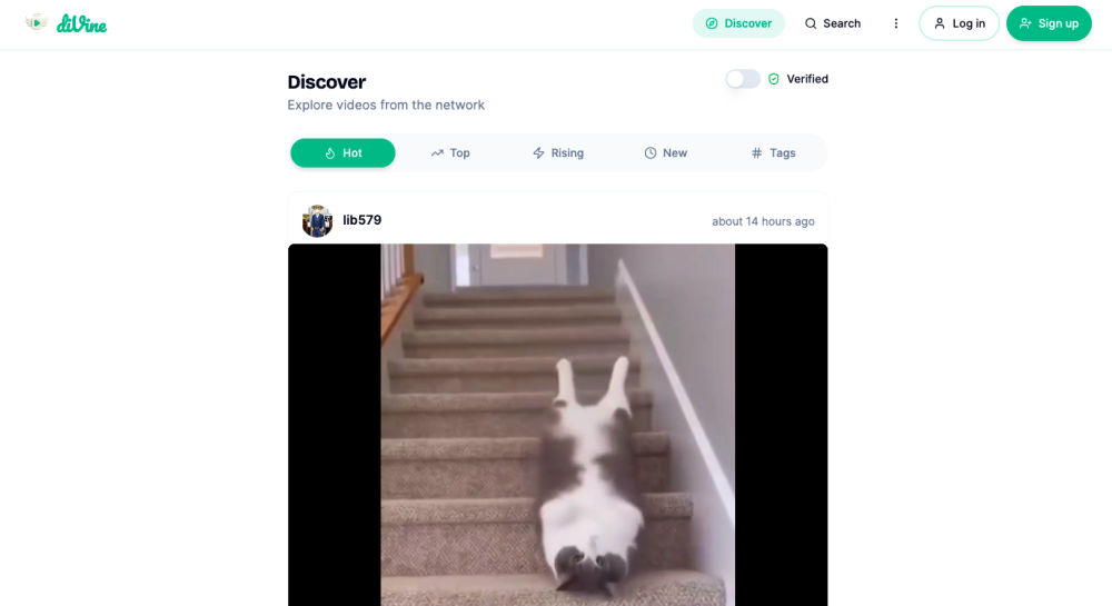 Vine has been resurrected as a new app called diVine