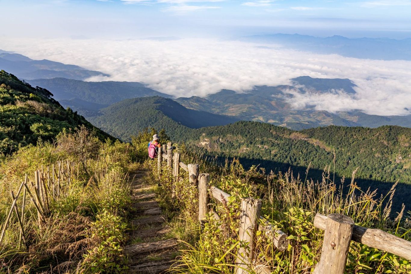 Doi Inthanon’s Kew Mae Pan trail reopens for the winter | Lifestyle Asia