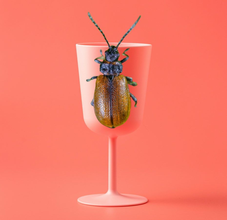 Food and drink trends in 2026: Industry insiders name the top ingredients