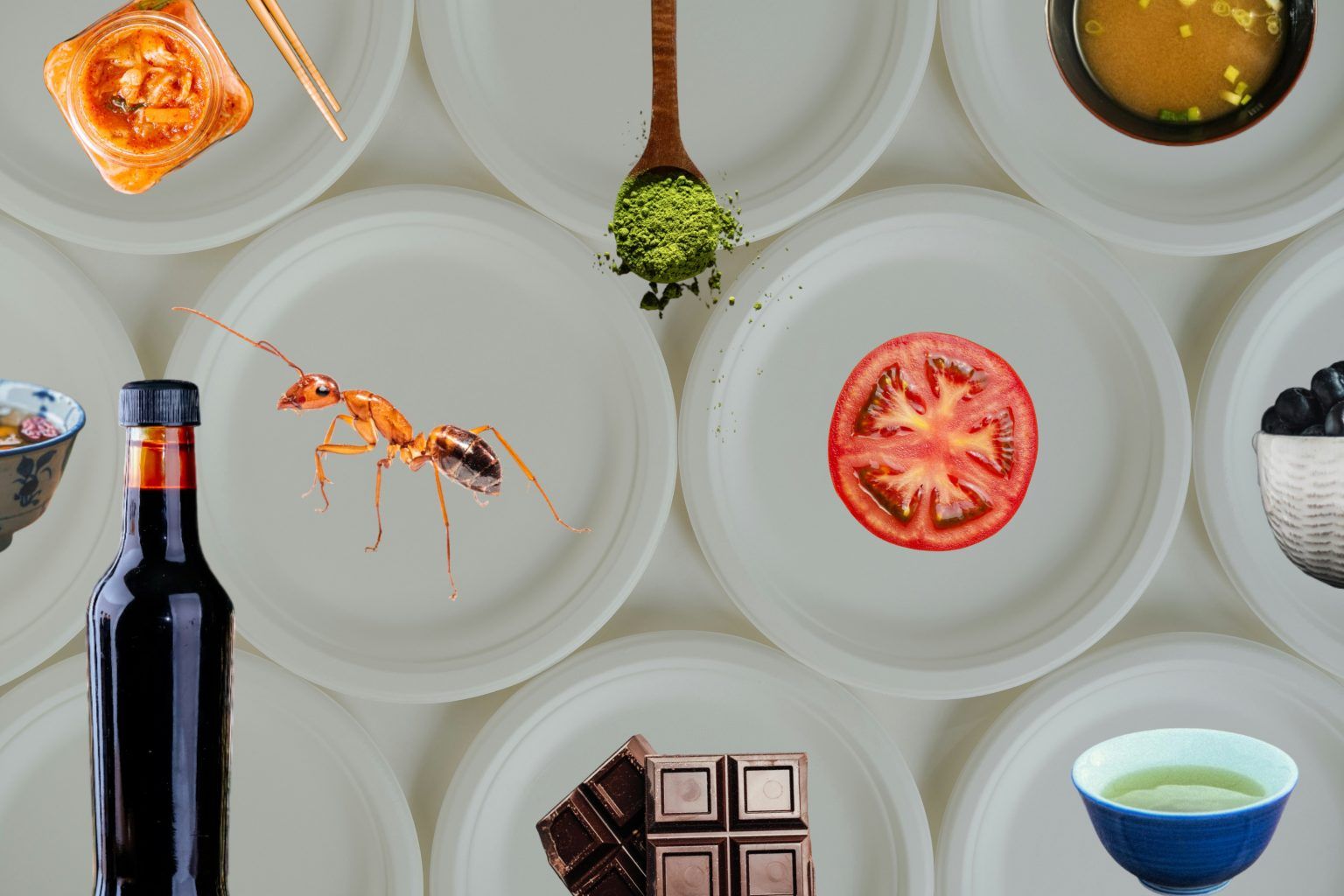 Food and drink trends in 2026: Industry insiders name the top ingredients