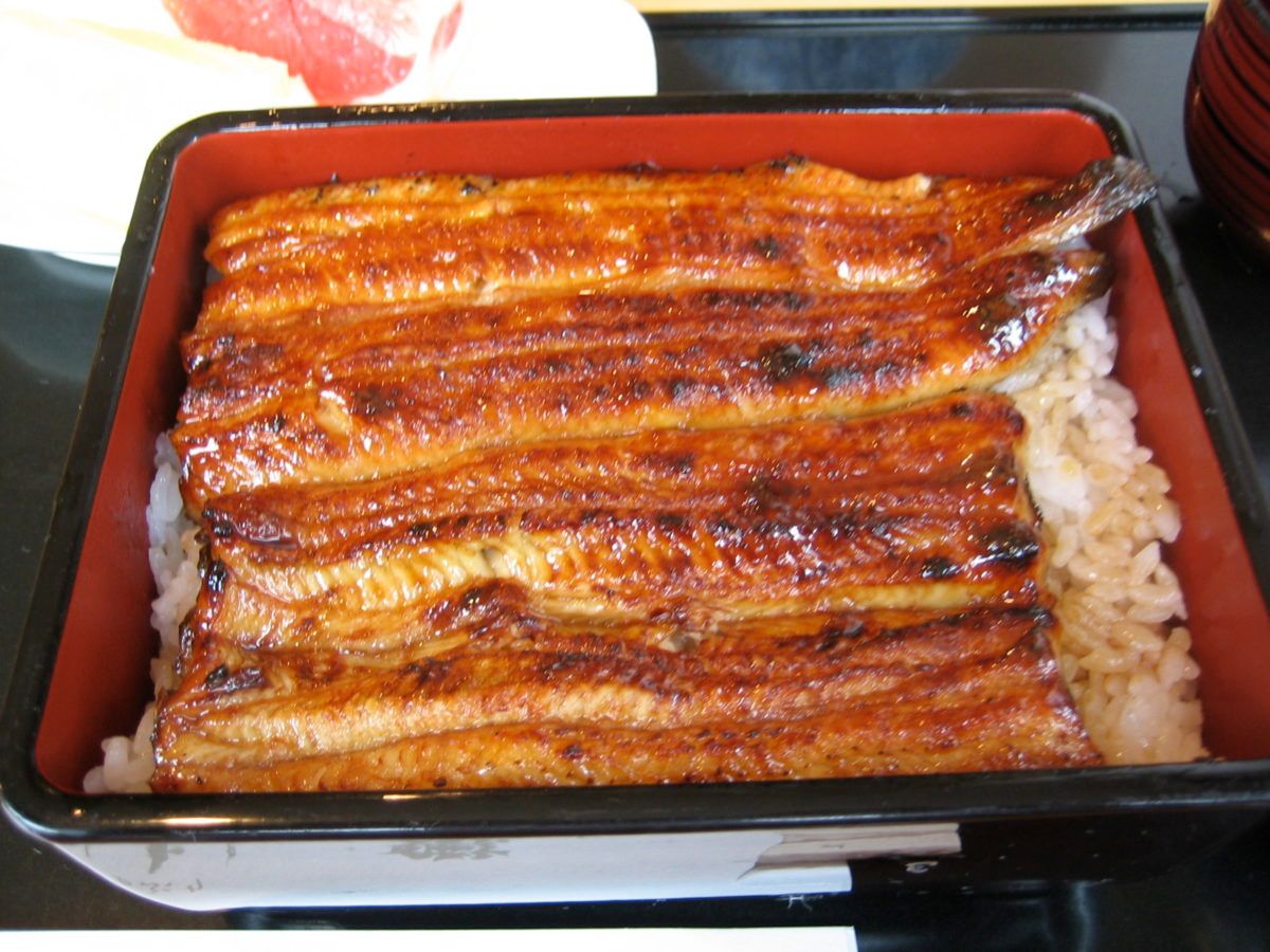 Your quick guide to distinguishing unagi and anago