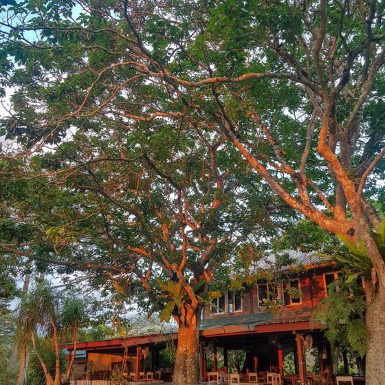 6 luxury farm resorts around the world to get you closer to nature