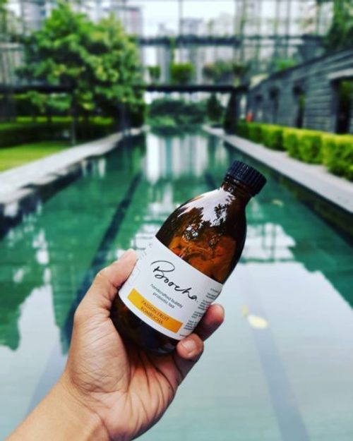 8 local kombucha brands in Malaysia to purchase the drink from