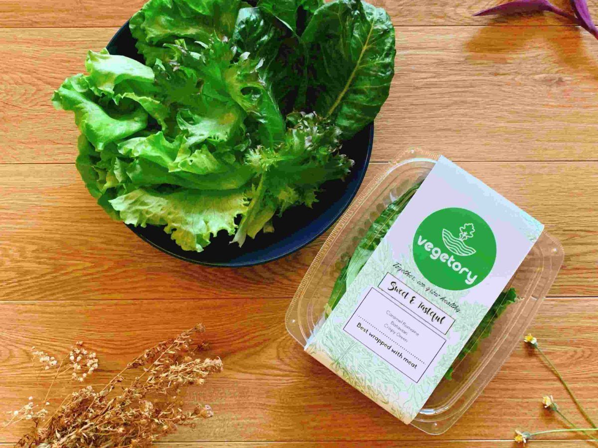 Have you checked out Vegetory, the indoor vertical farm in Bangsar?