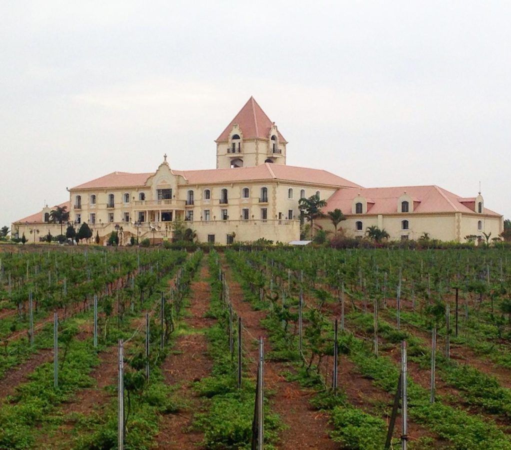 5 vineyards in India that will change your mind about Indian wine