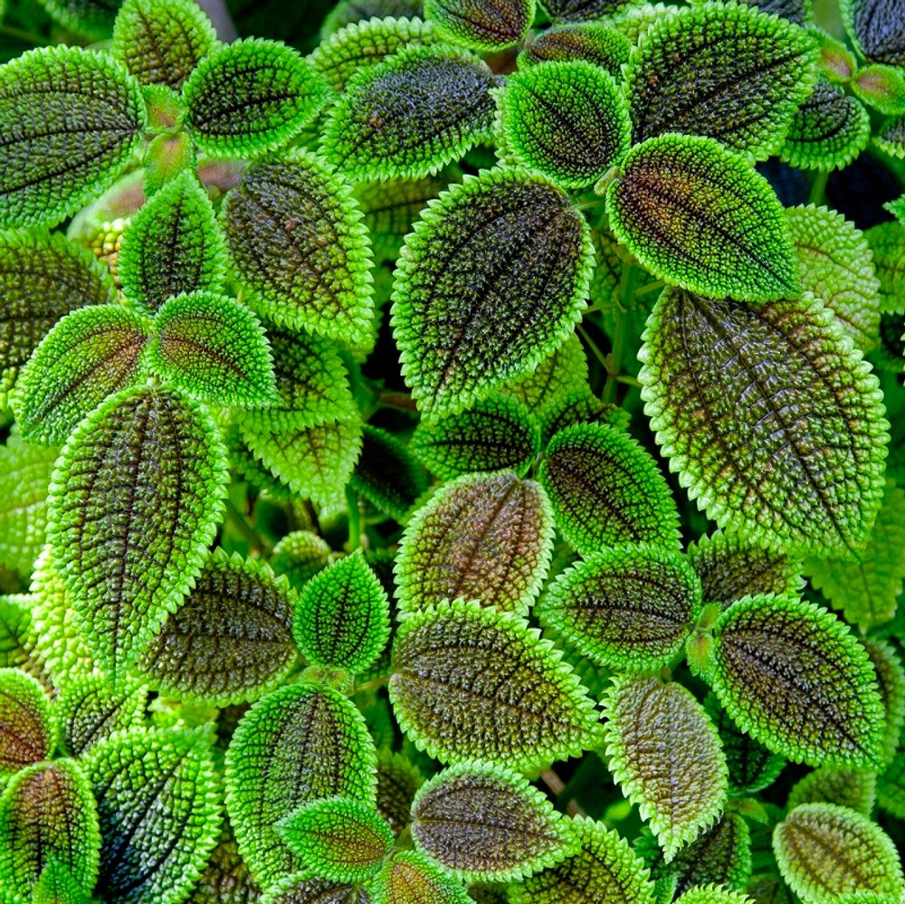 Our advise on wellness, keeping fit & healthy diets | LSA Kuala Lumpur