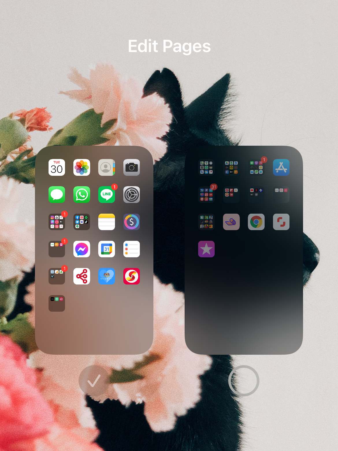 6 tips to make the most out of your iPhone 12 that you may not know of