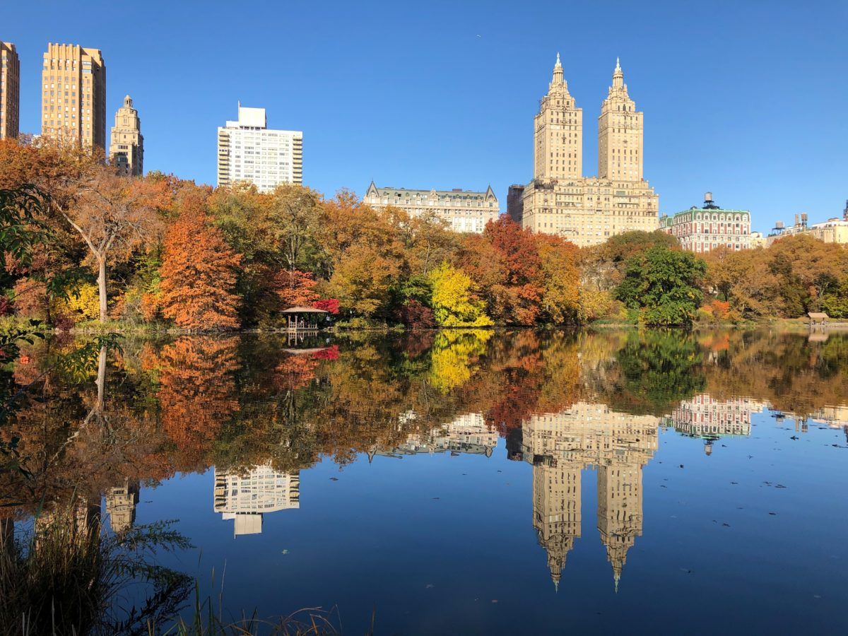 The top 20 best cities to visit in the autumn months: New York and more