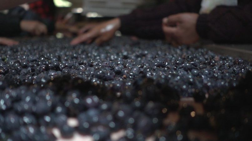 Ao Yun takes Chinese winery to new heights with its latest 2017 vintage