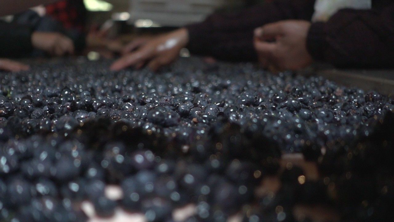 Ao Yun takes Chinese winery to new heights with its latest 2017 vintage