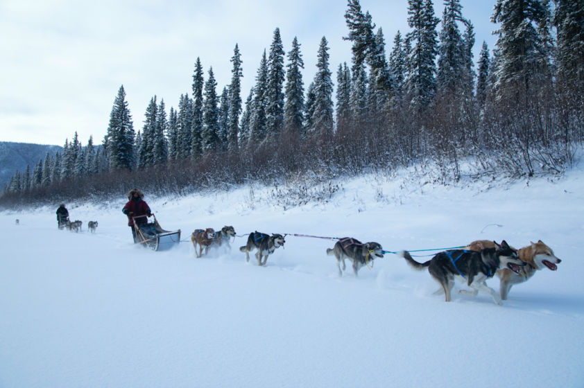 6 new movies and shows on Netflix and BBC in March 2022