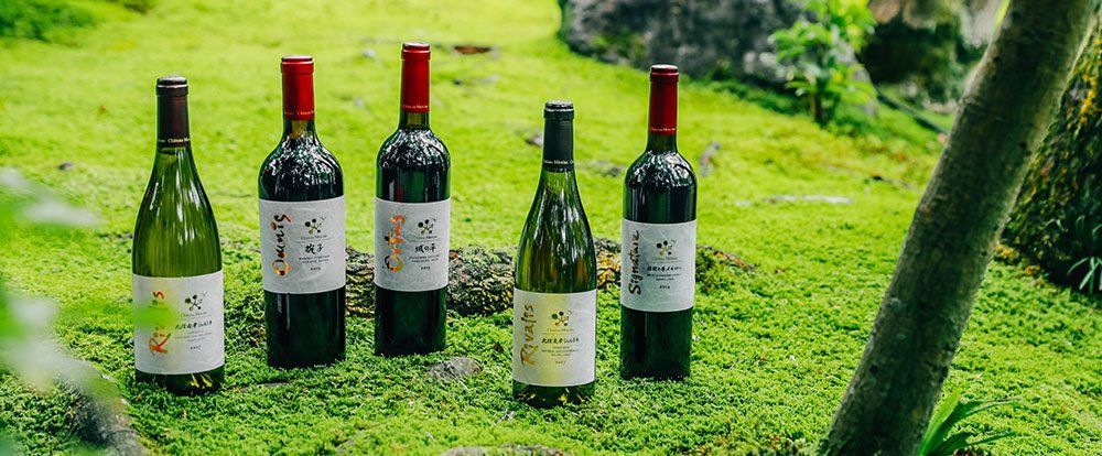 9 of the best vineyards to visit in Asia for every wine lover