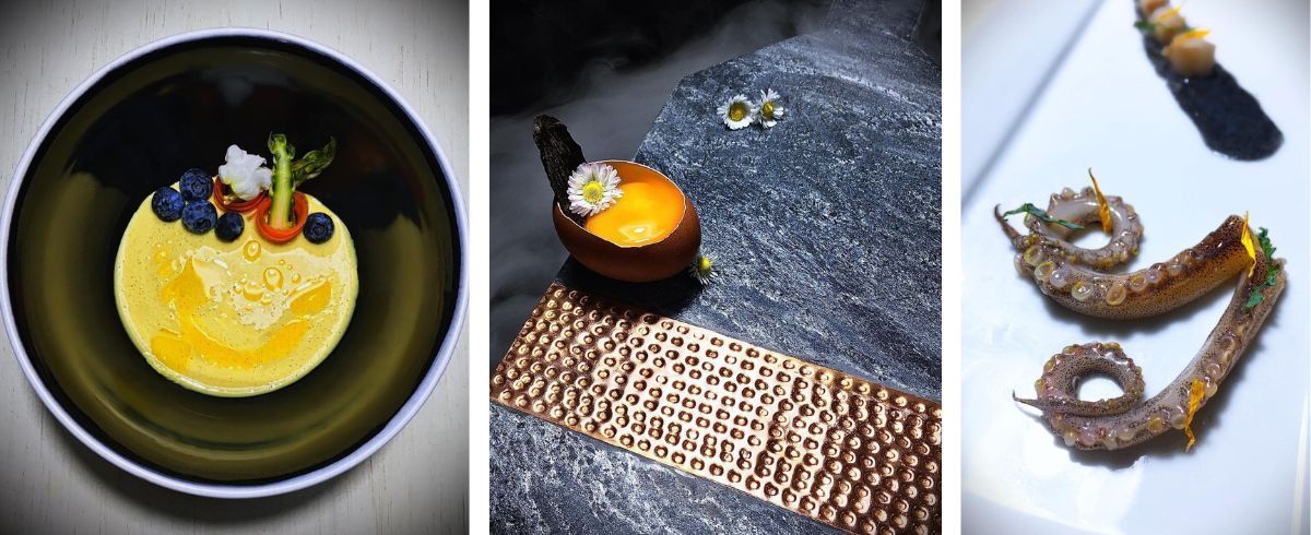 Fine dining for dogs: Introducing San Francisco's Dogue