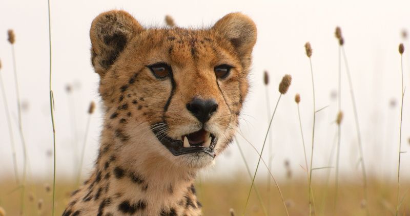 14 shows to stream on Netflix, HBO, BBC and more in January 2023