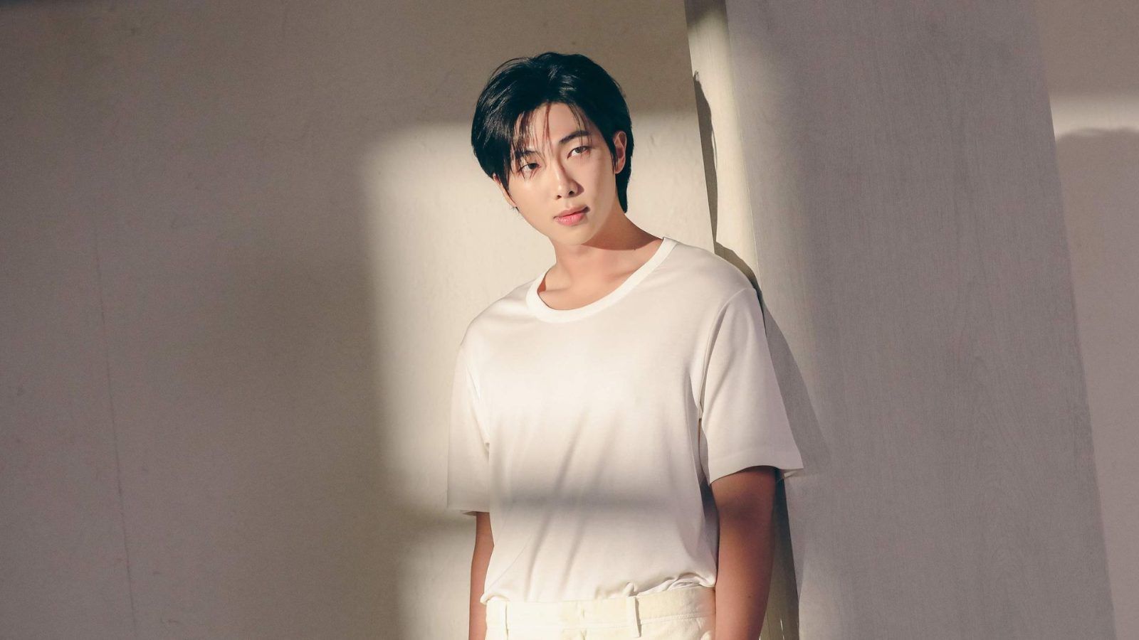 BTS member RM to J-Hope: Celebrities who own KAWS figures