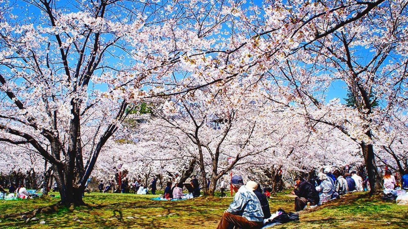 Morioka, Japan is the second-best place to visit in 2023 – here's why