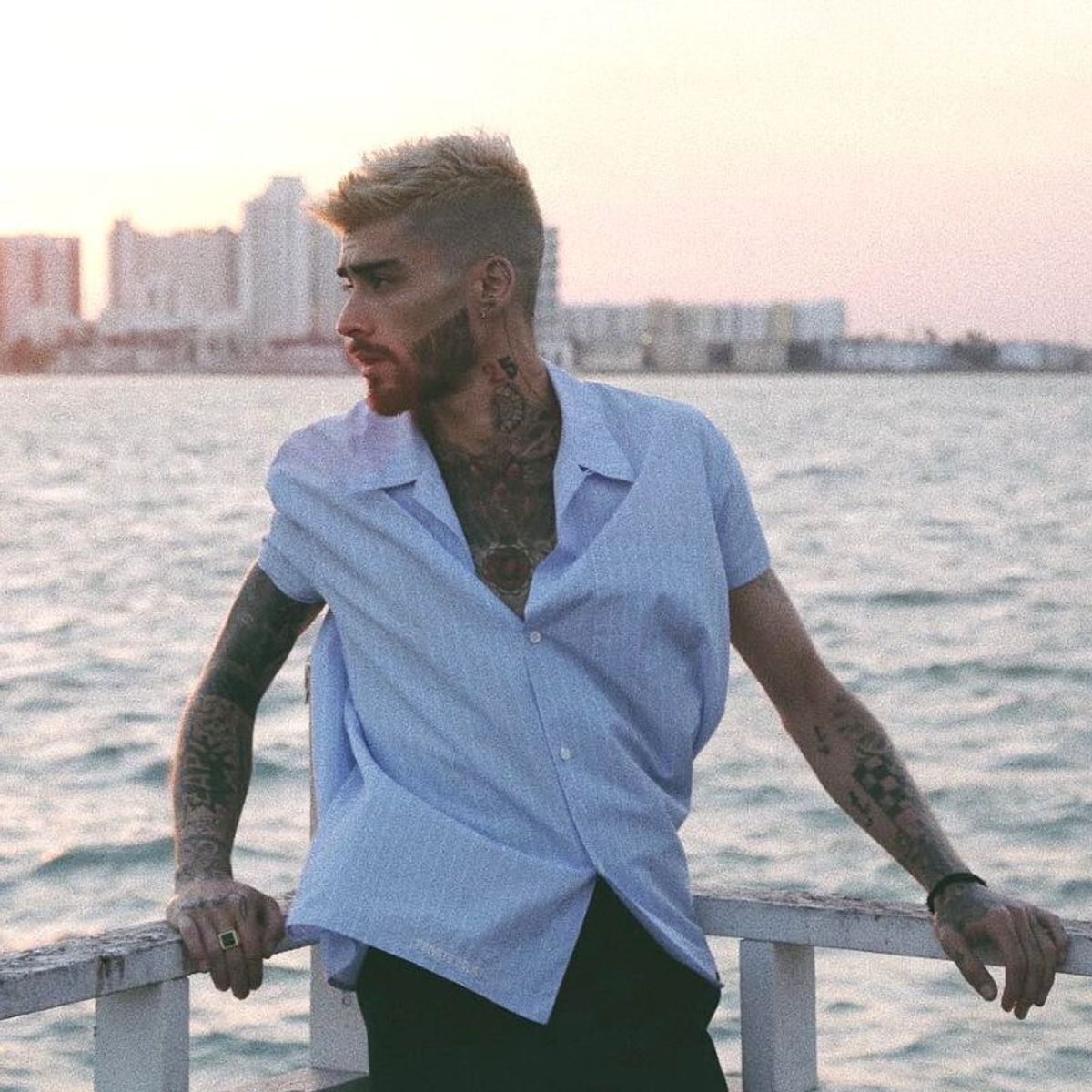 Zayn Malik 2010 2022