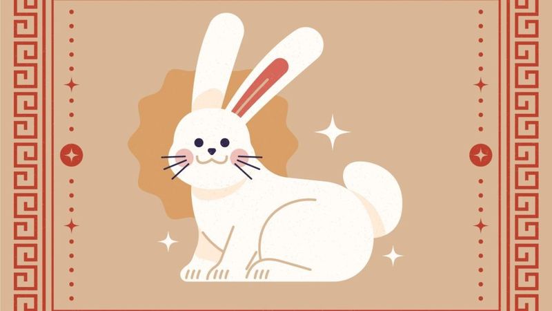 These are your lucky colours based on your Chinese zodiac sign