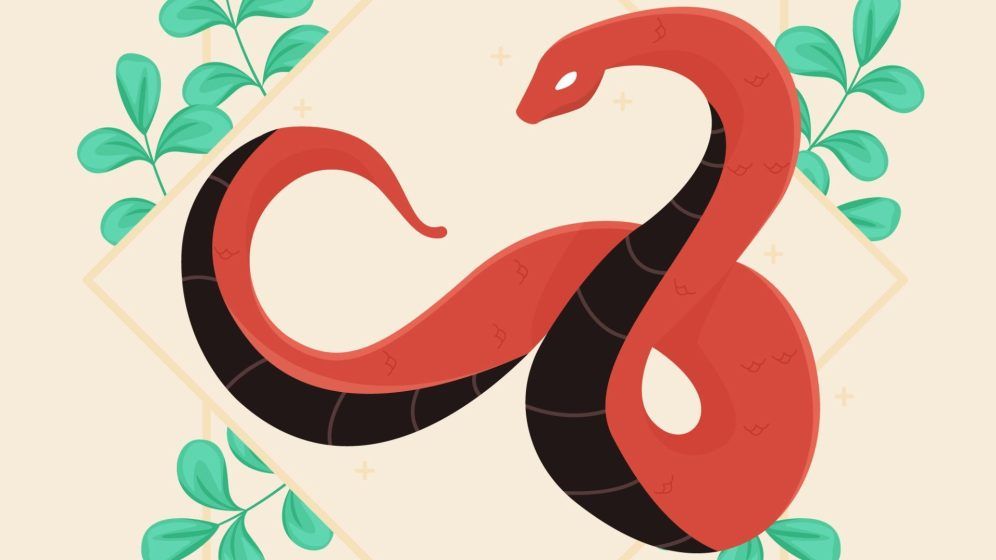 These are your lucky colours based on your Chinese zodiac sign