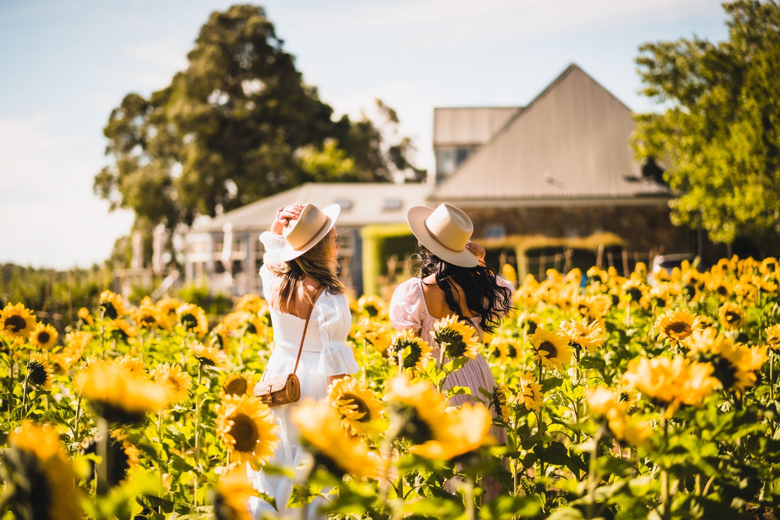 Five underrated destinations to experience Victoria off the beaten track