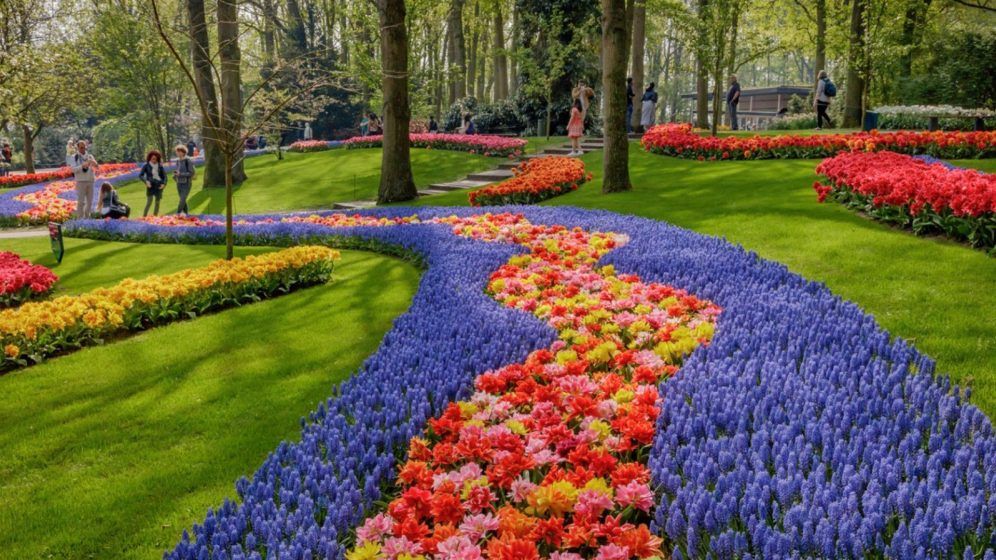 Places around the world where you can still enjoy spring at this time