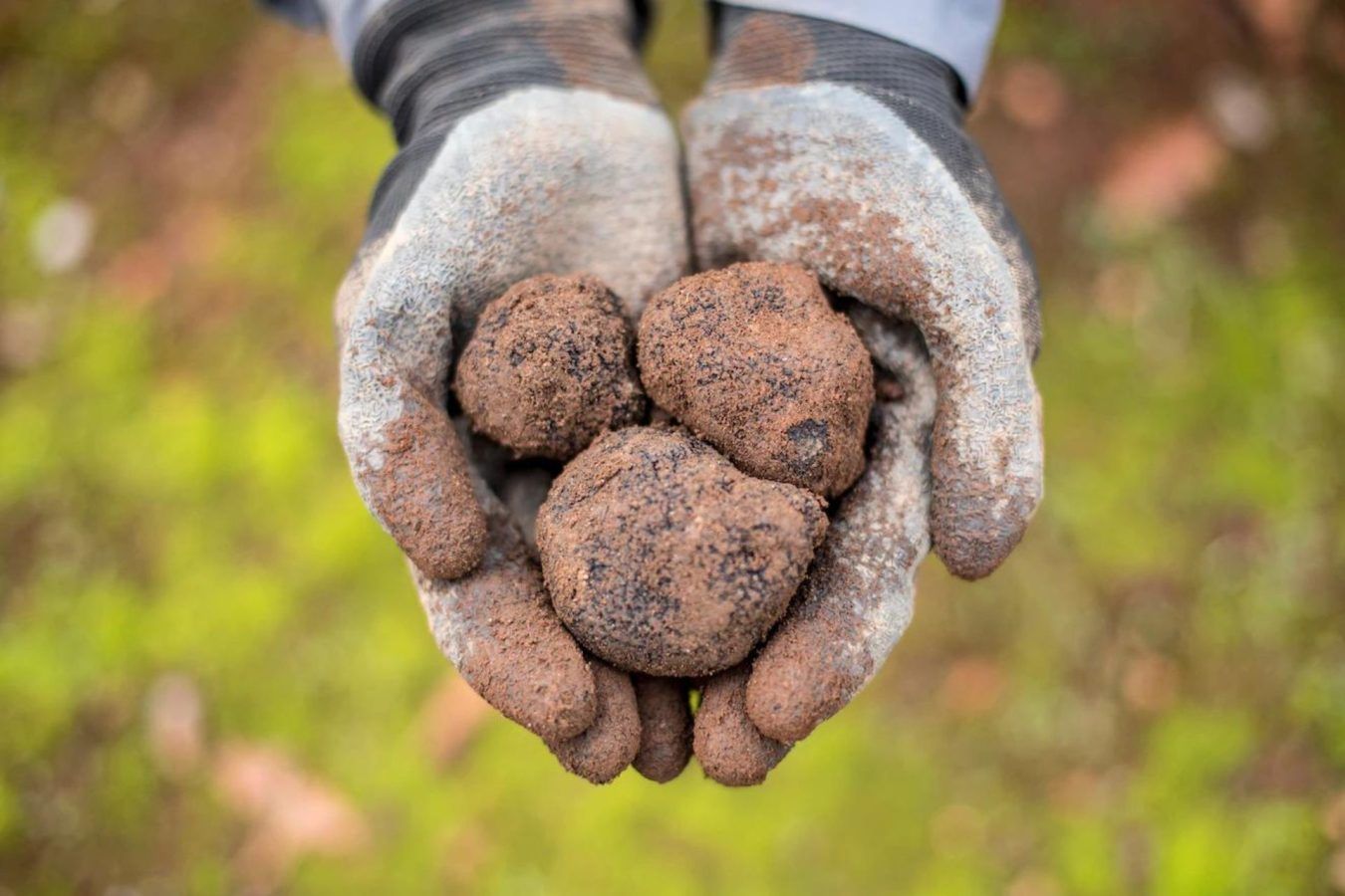 Here's why Perth should be on your mind the next time you visit Australia