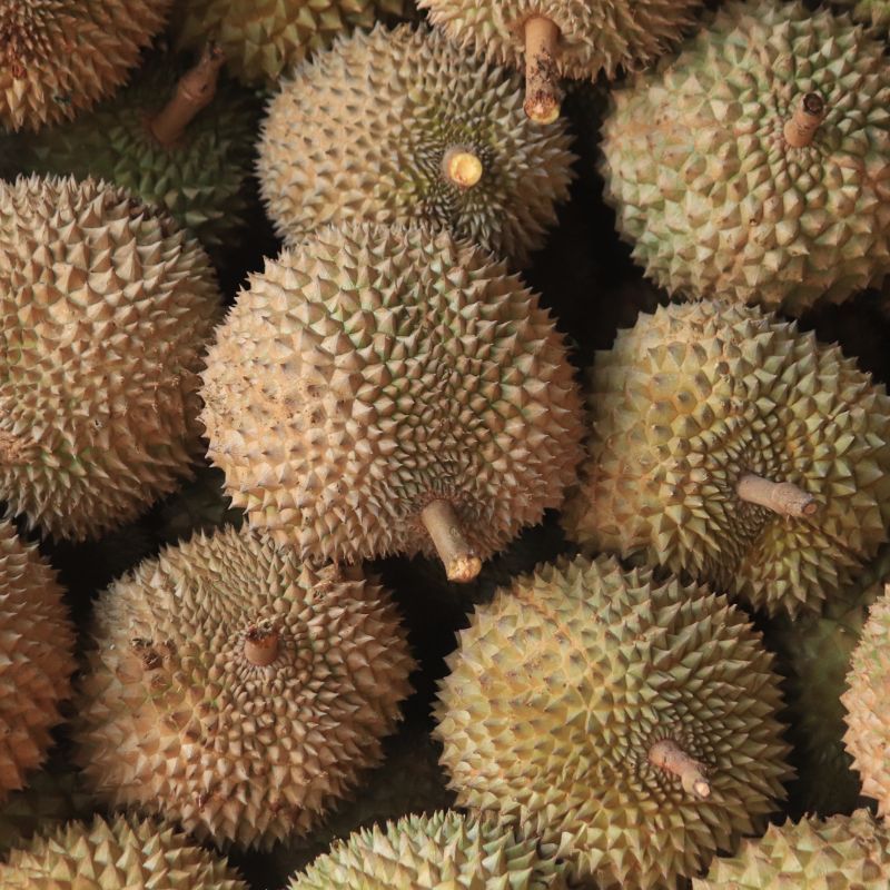 Best places that serve durian in Kuala Lumpur and Selangor