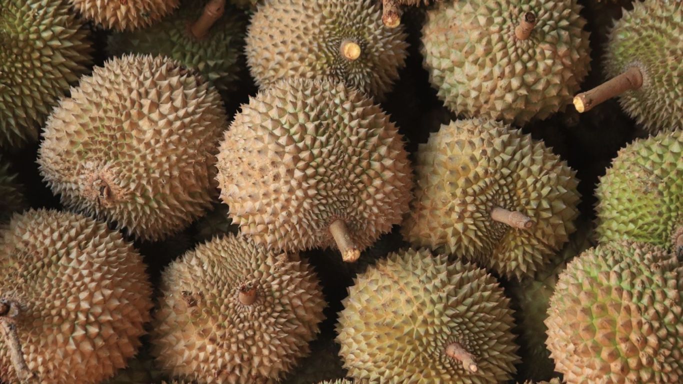 Best places that serve durian in Kuala Lumpur and Selangor