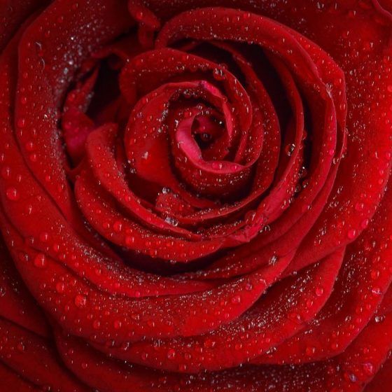 Know everything about your lucky colour based on numerology