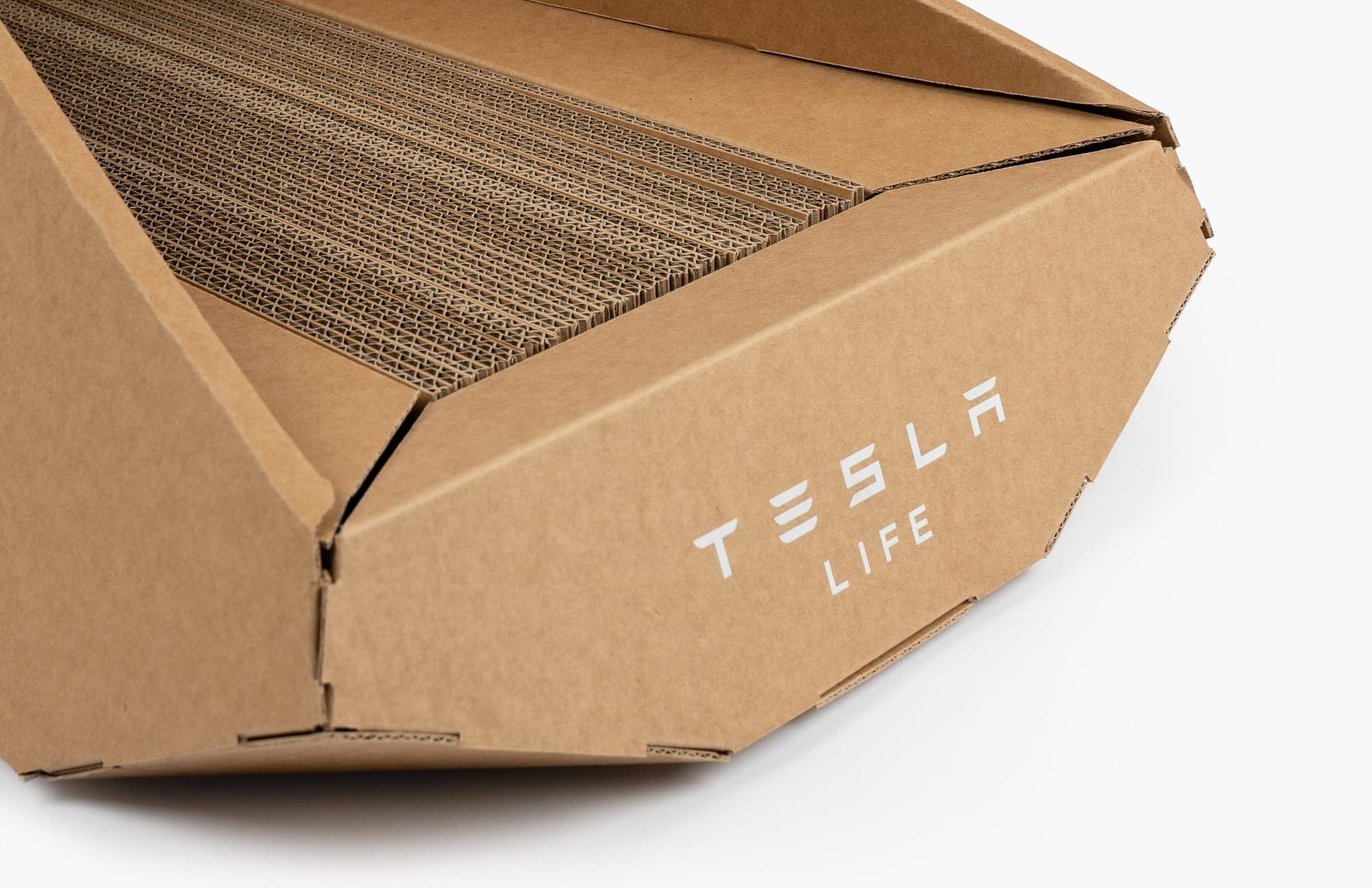 Meet Tesla's newest invention: a Cybertruck-inspired cat litter box