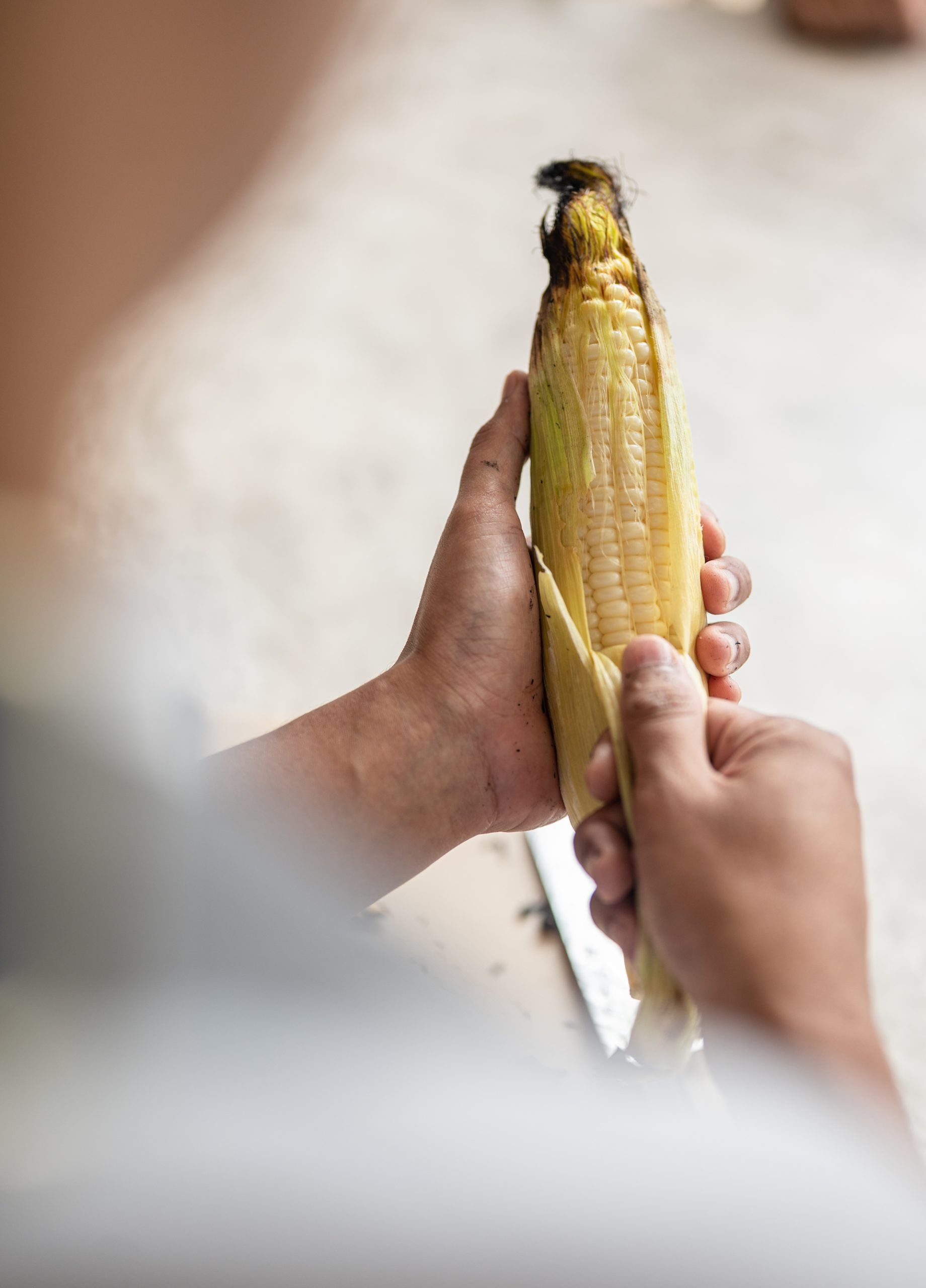 New kid in town: Potager at Bamboo Hills is off to a stellar start