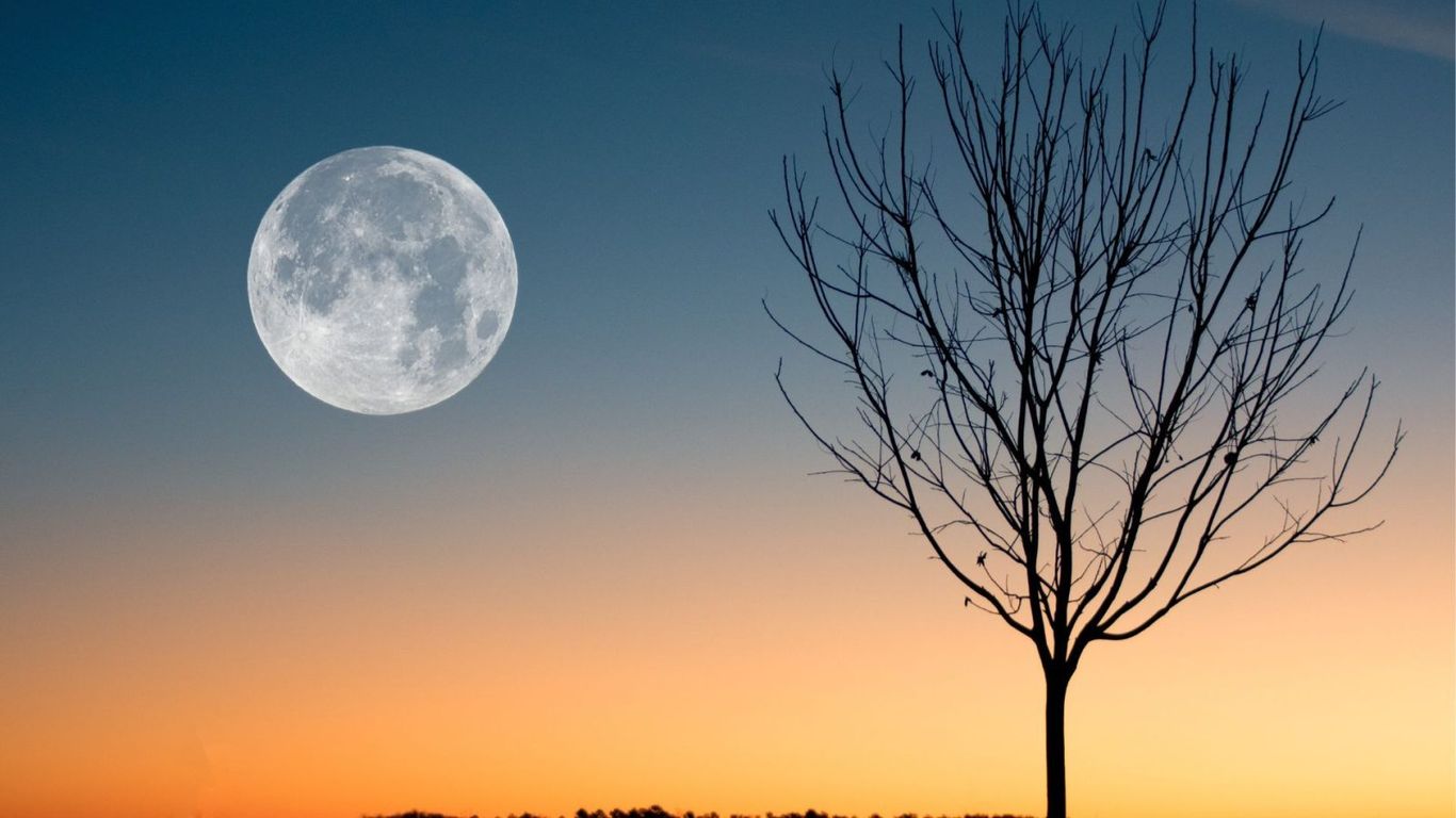 All about the full hunter's moon of October and its effects on zodiacs