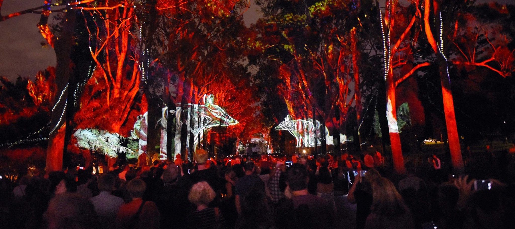 The EverNow Festival in Perth is eye-opening, enlightening and enigmatic