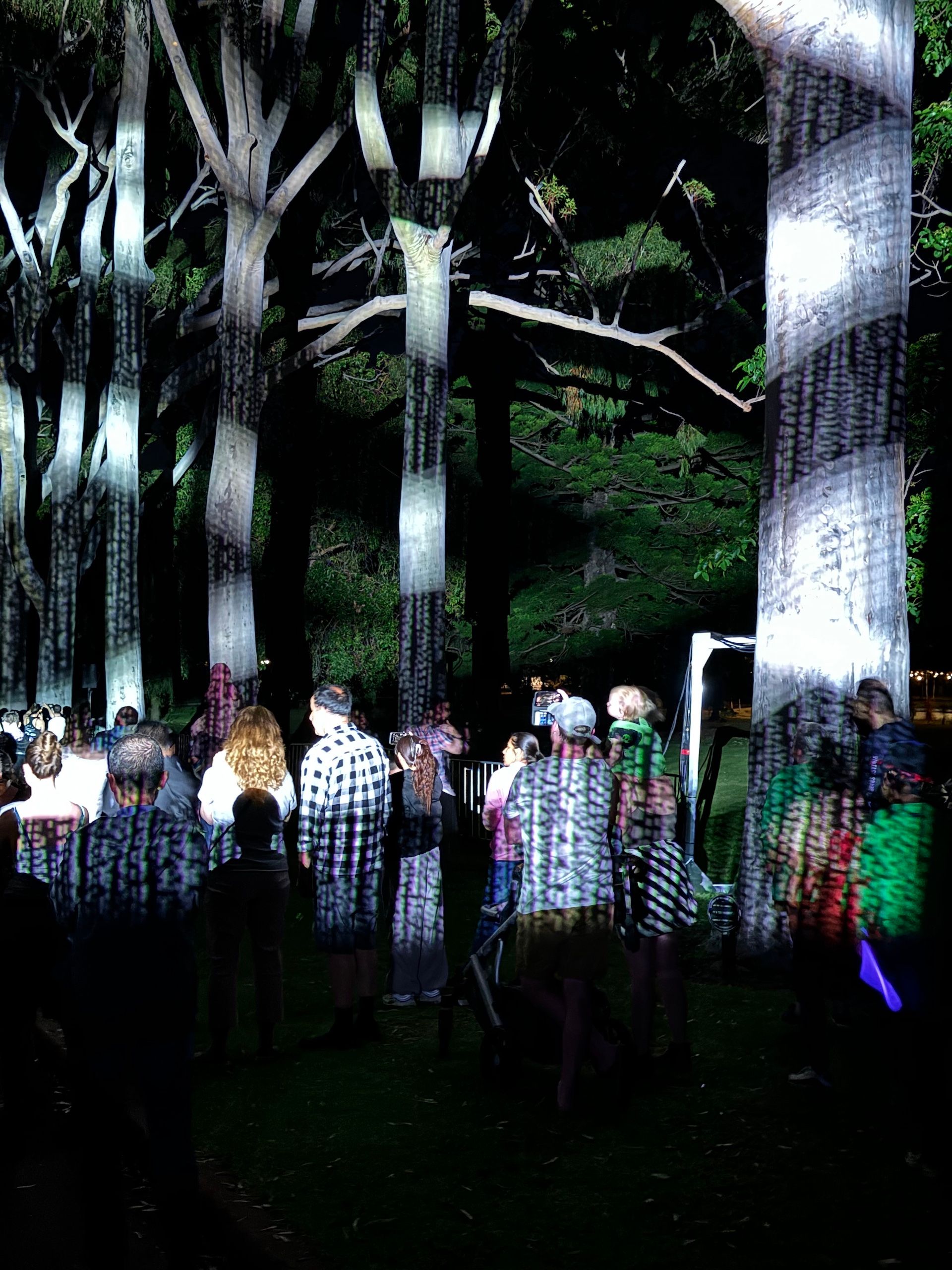 The EverNow Festival in Perth is eye-opening, enlightening and enigmatic