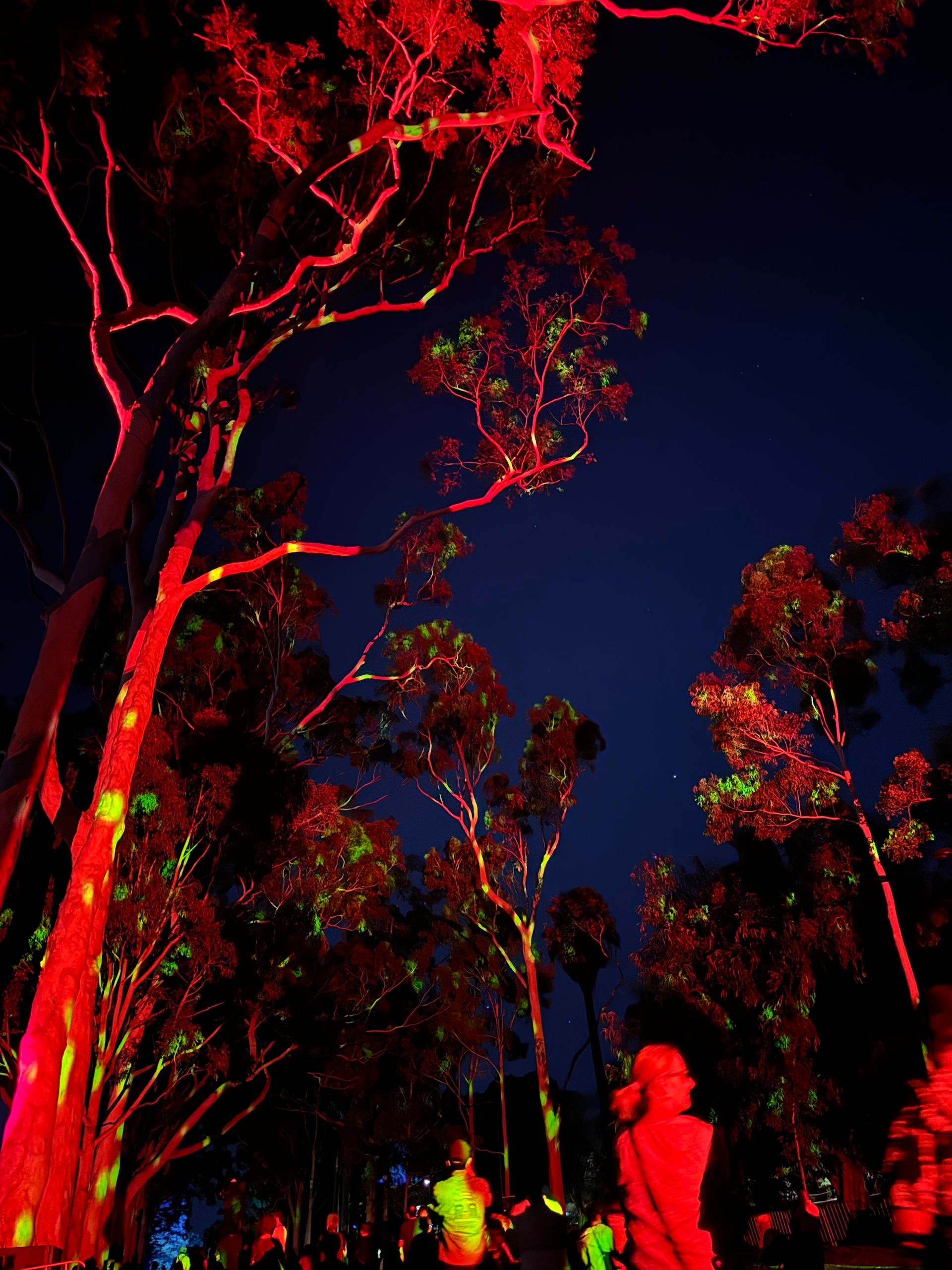 The EverNow Festival in Perth is eye-opening, enlightening and enigmatic