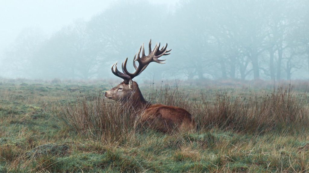 All the 12 full moon names for 2024 and what they mean