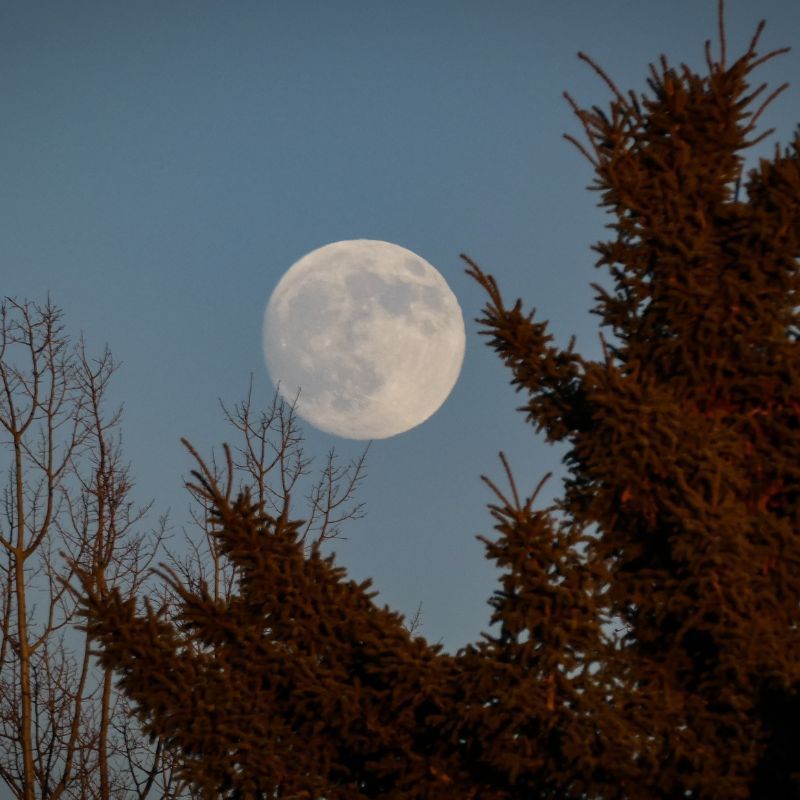 Zodiac Zone: Discover Your Astrological Sign and What It Means