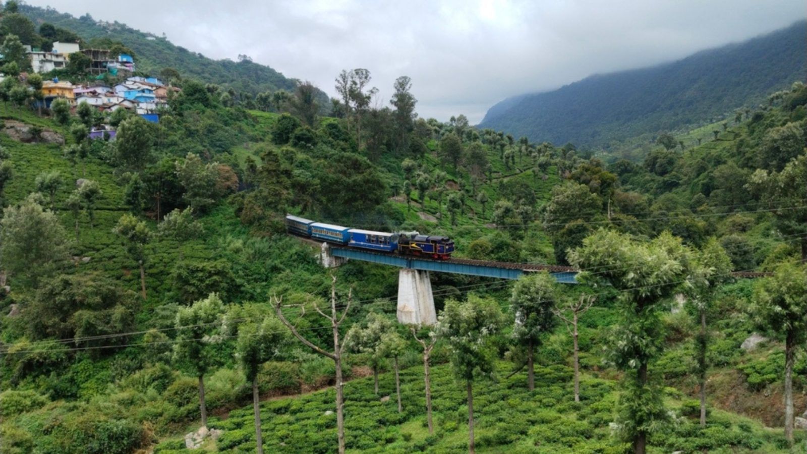 Nilgiri Mountain Railway: India's slowest train journey with the best views