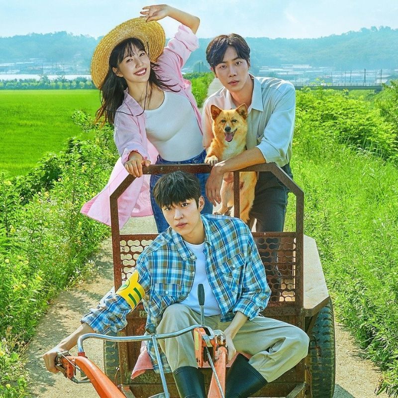 The best K-dramas for animal lovers