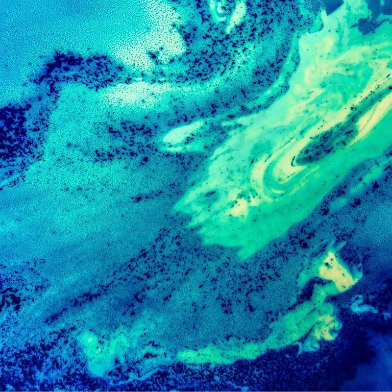 Zodiac Zone: Discover Your Astrological Sign and What It Means